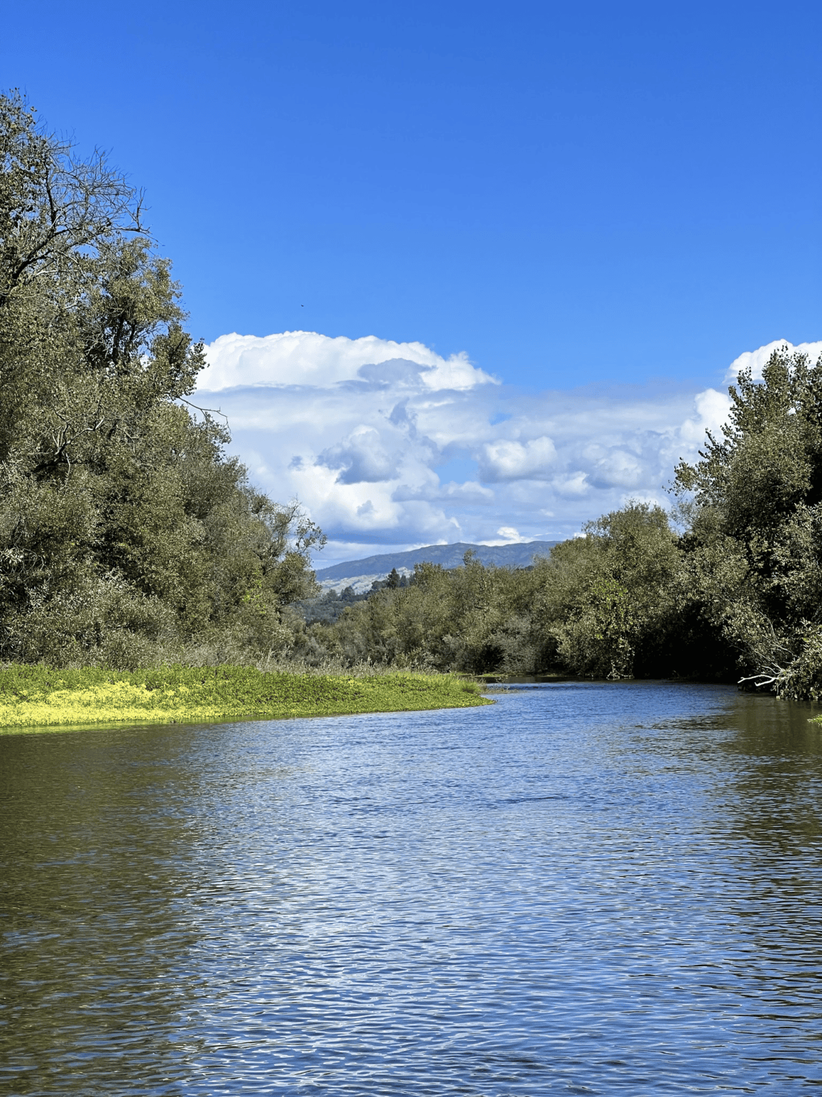 Homepage - Russian Riverkeeper