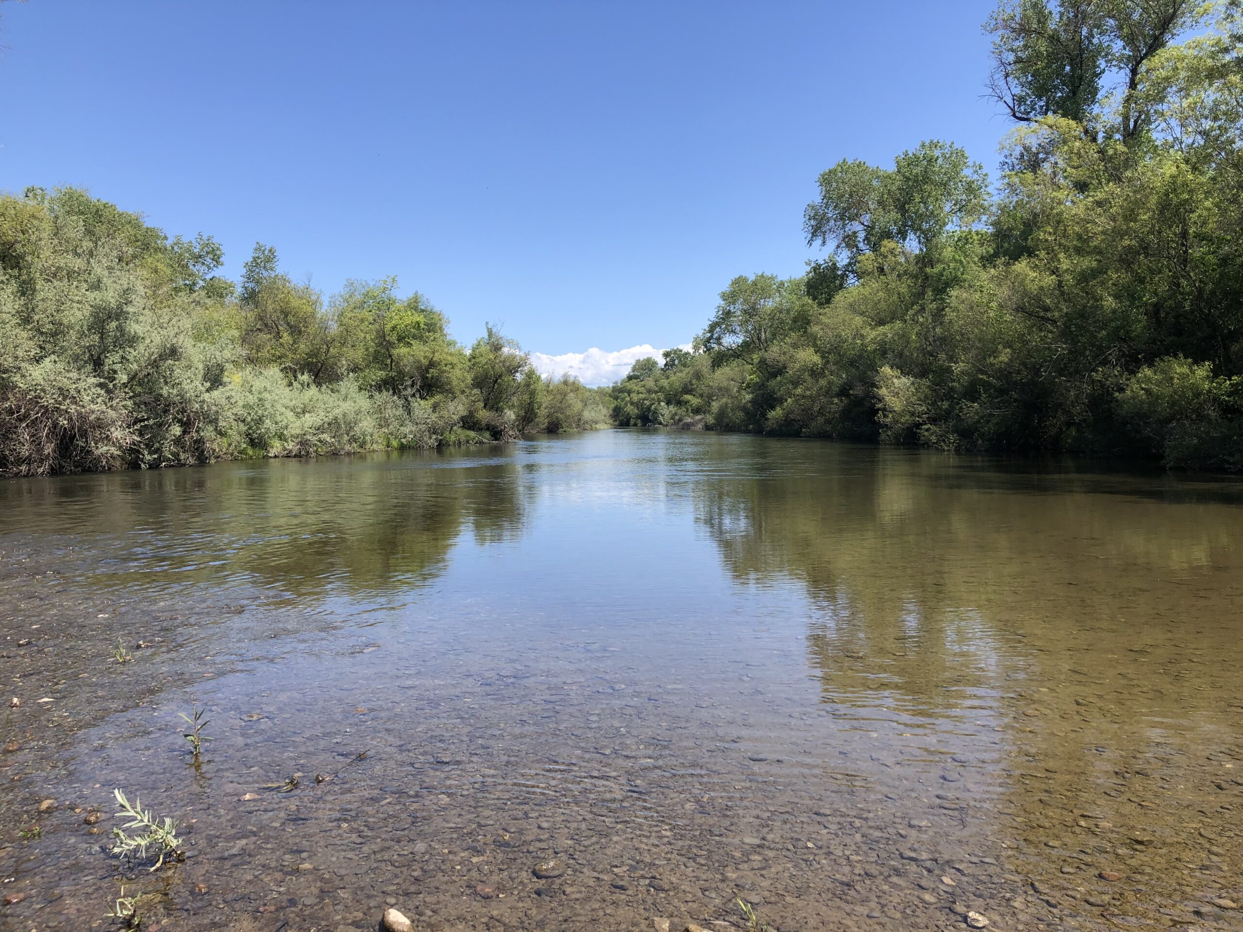 Homepage - Russian Riverkeeper