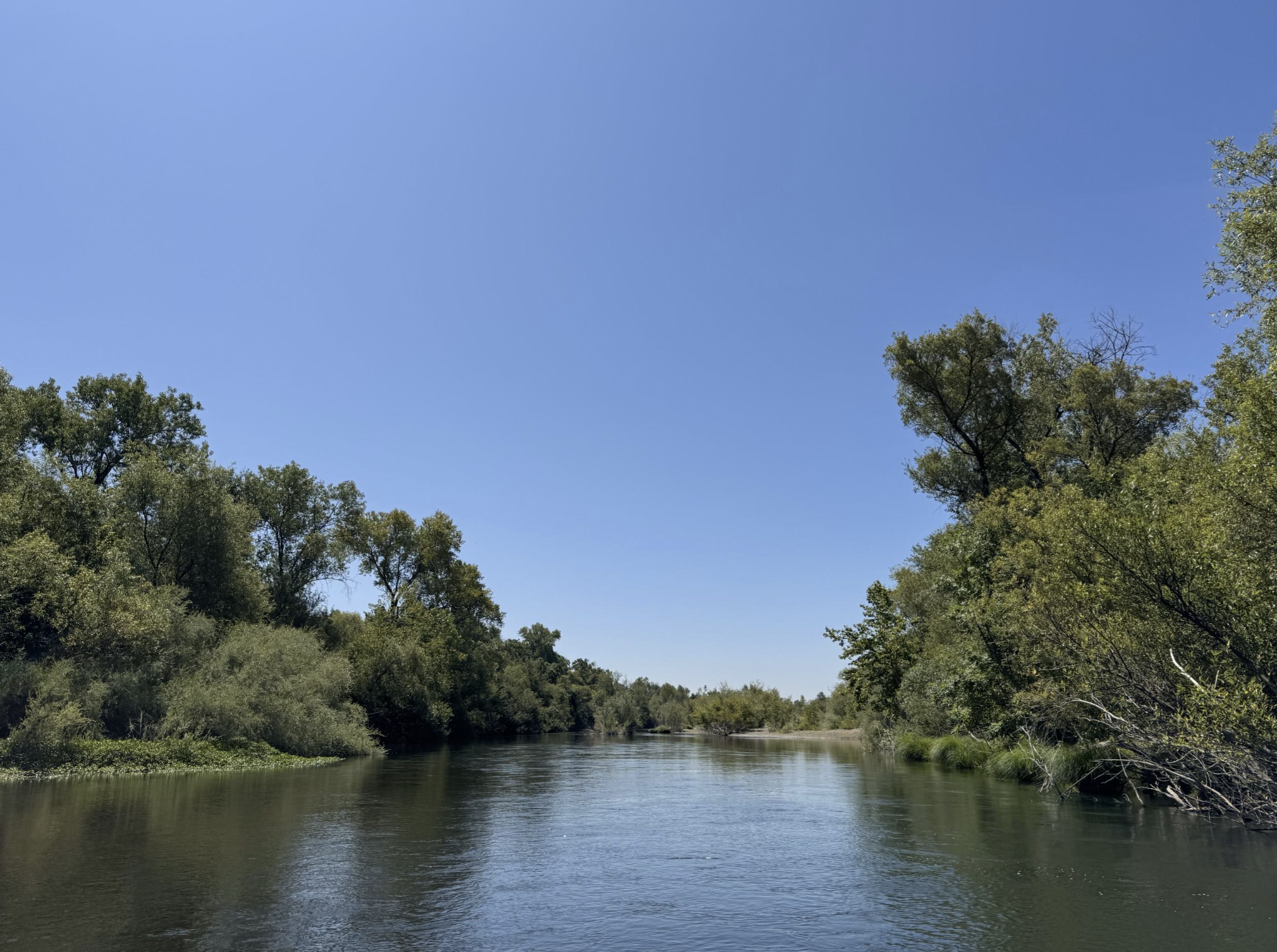 Protecting the Russian River Watershed - Russian Riverkeeper