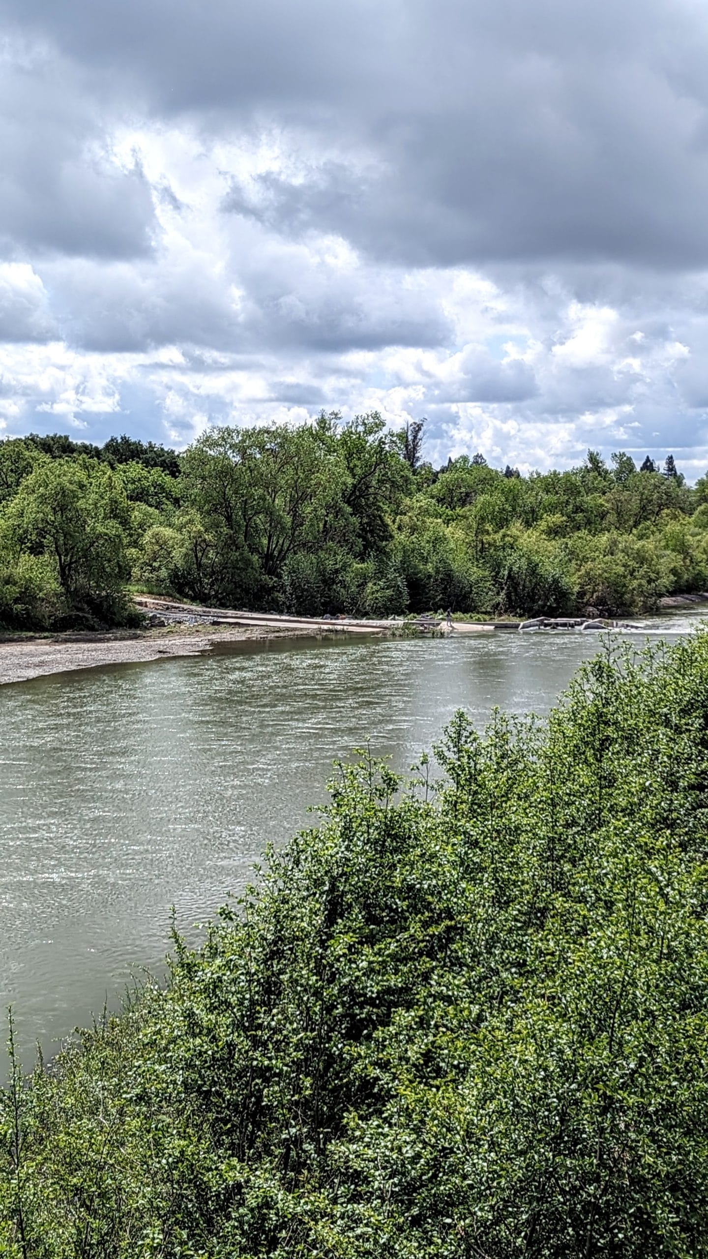 Our River Is Back! What Does This Actually Mean? - Russian Riverkeeper